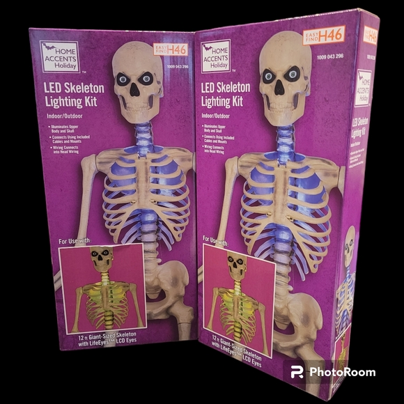Home Accents Holiday | Holiday | 2 Ft Led Halloween Skeleton Lighting ...